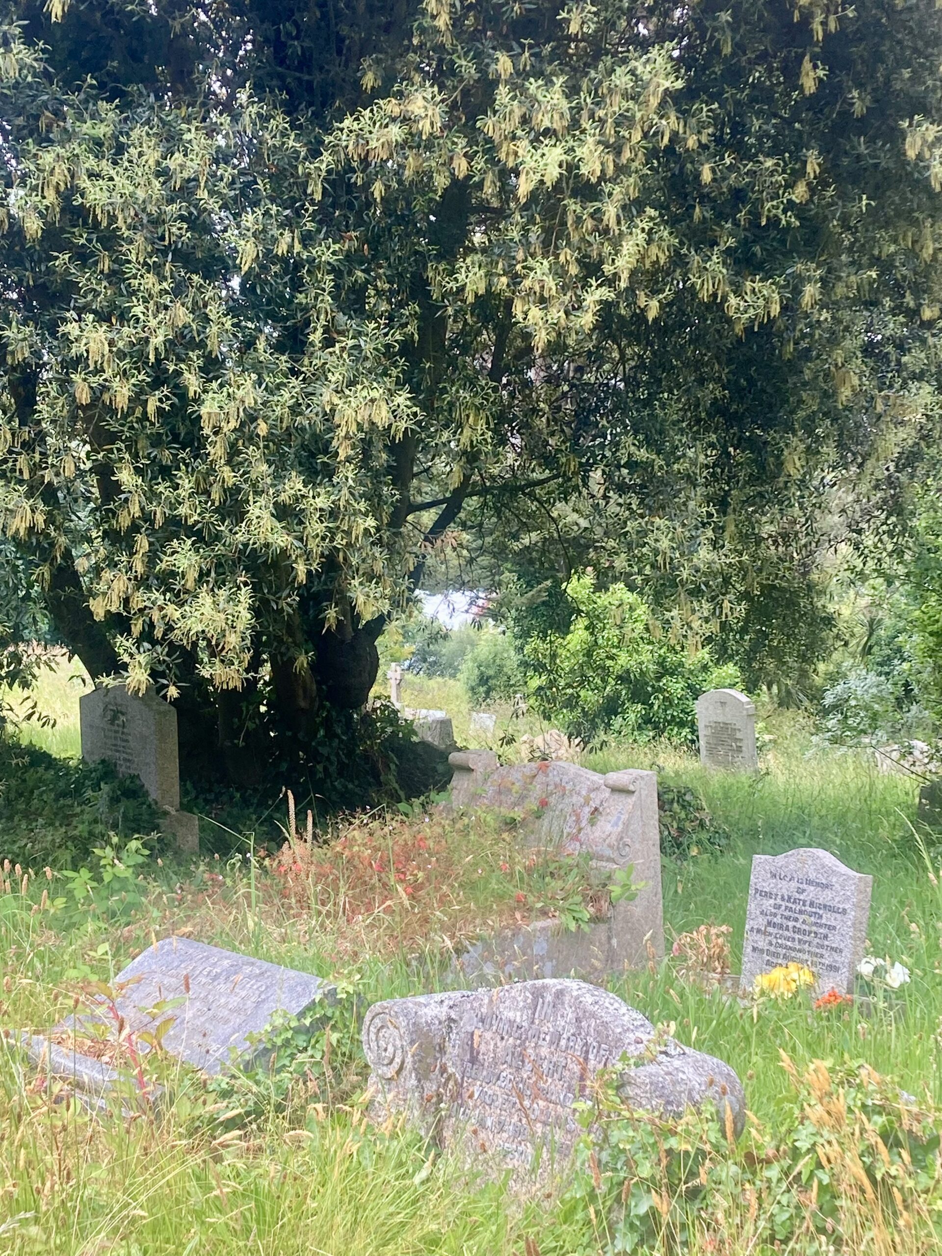 Burial Records - Falmouth Town Council