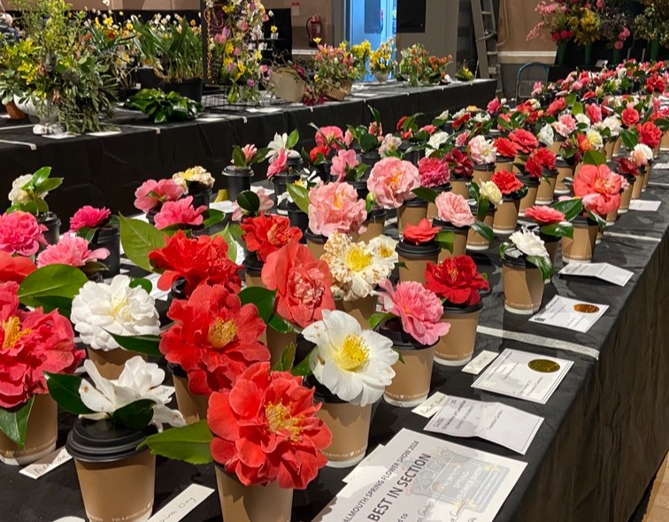 Falmouth Spring Flower Show - Falmouth Town Council