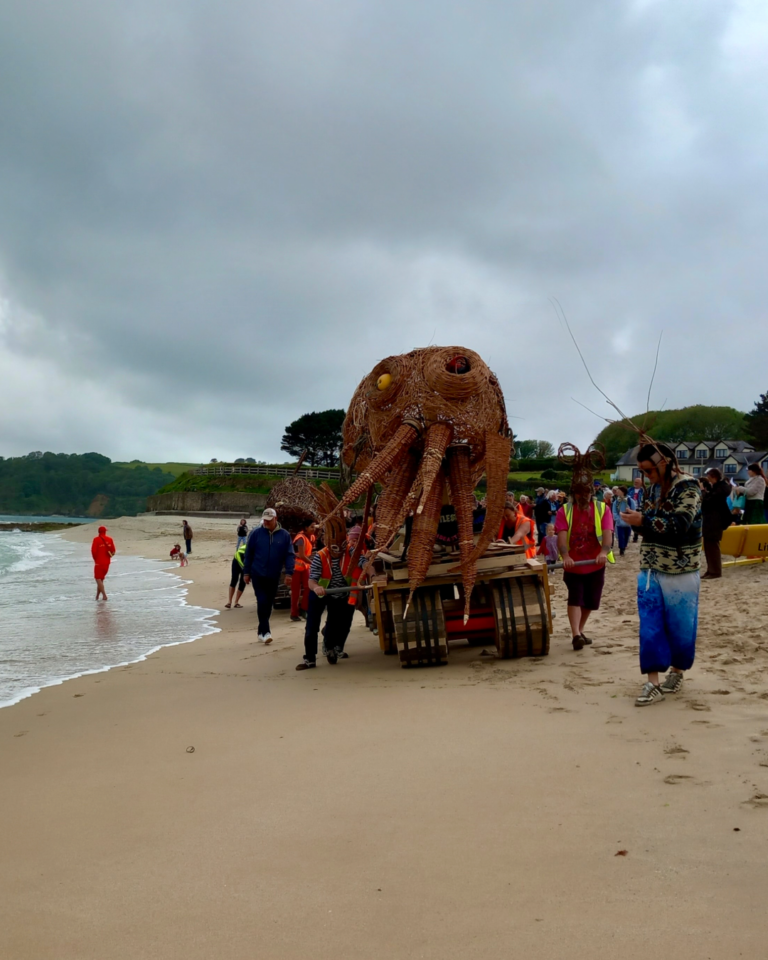 Festival for the Ocean Makes a Big Splash - Falmouth Town Council